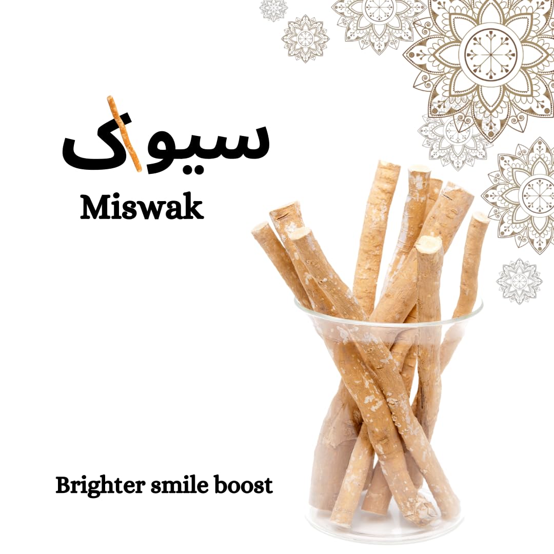 Miswak Sticks for Teeth Natural Herbal Toothbrush with Holder by SEWAK (10 Tooth Stick + 1 Holder)