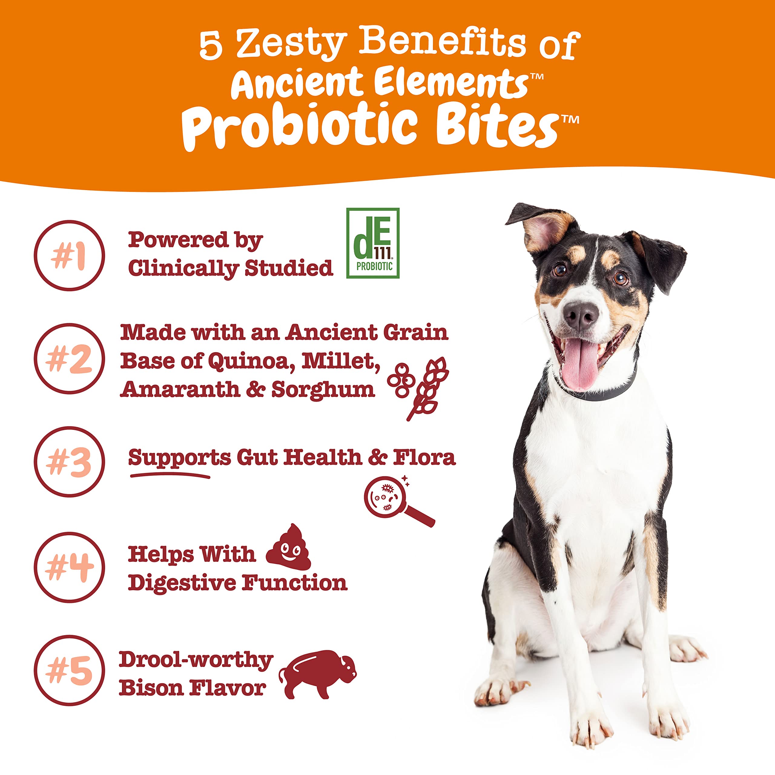 Ancient Elements Probiotics for Dogs - Chewable Dog Probiotic Supplement + Multifunctional Supplements for Dogs - Glucosamine Chondroitin for Joint Support