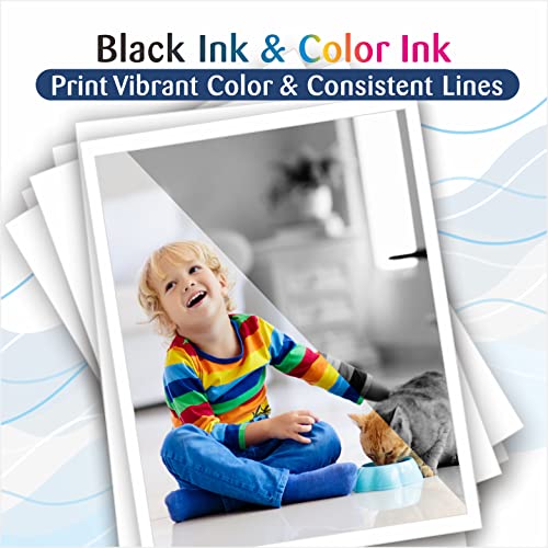 CHAYUINK 260XL Black Ink Cartridge Replacement for Canon PG 260 260-XL High Yield Inkjet Printer Cartridges Compatible with PIXMA TR7020 TS5320 TS6420 (Black-1pk)