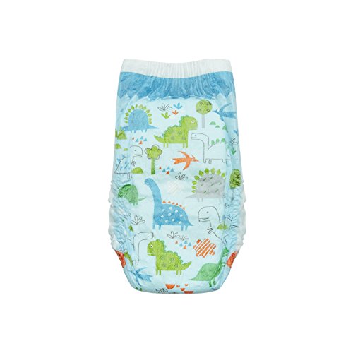 The Honest Company Disposable Training Pants, Dinosaurs, 4T/5T, 19 ct