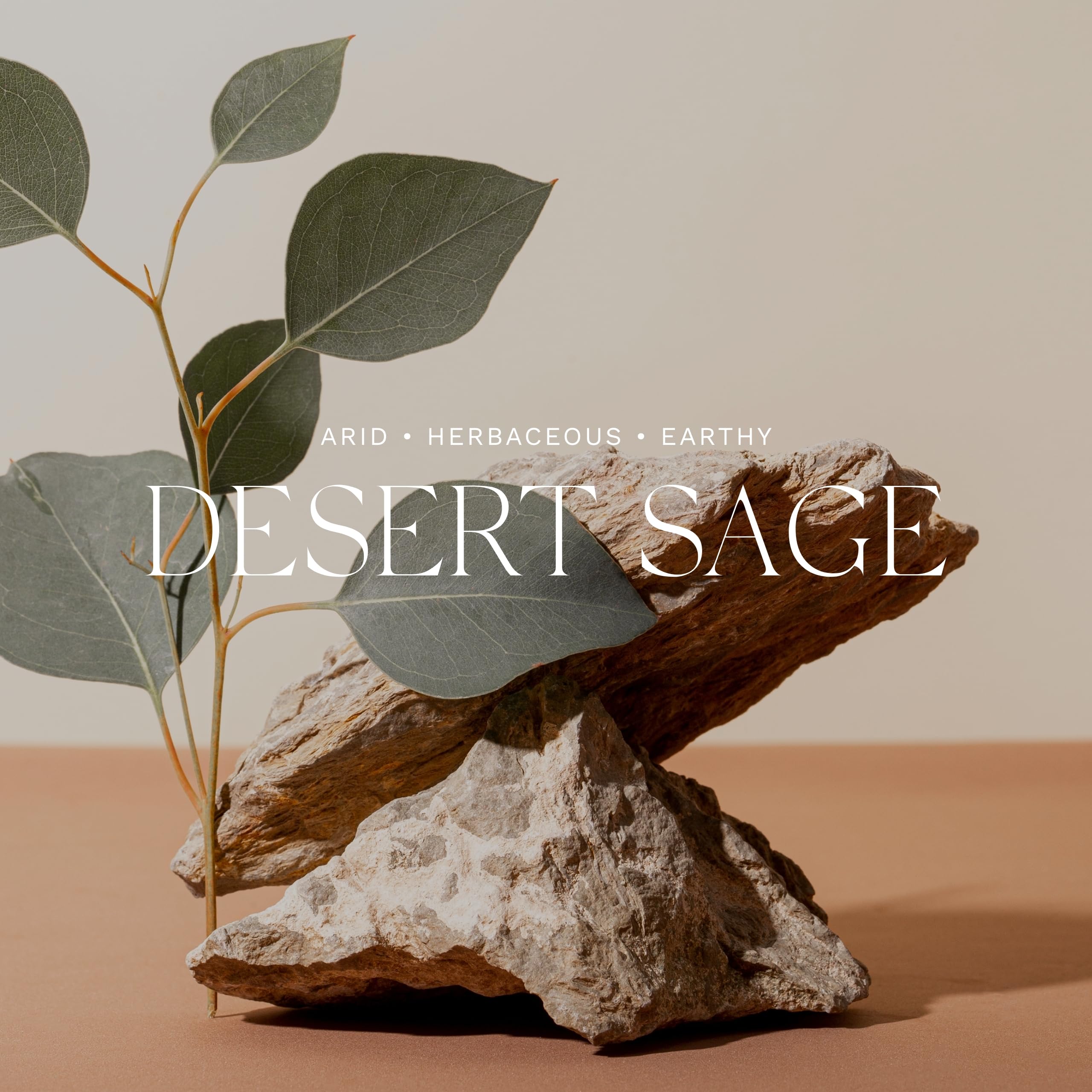 Antica Farmacista Room Spray Desert Sage, 3.3 Fl Oz