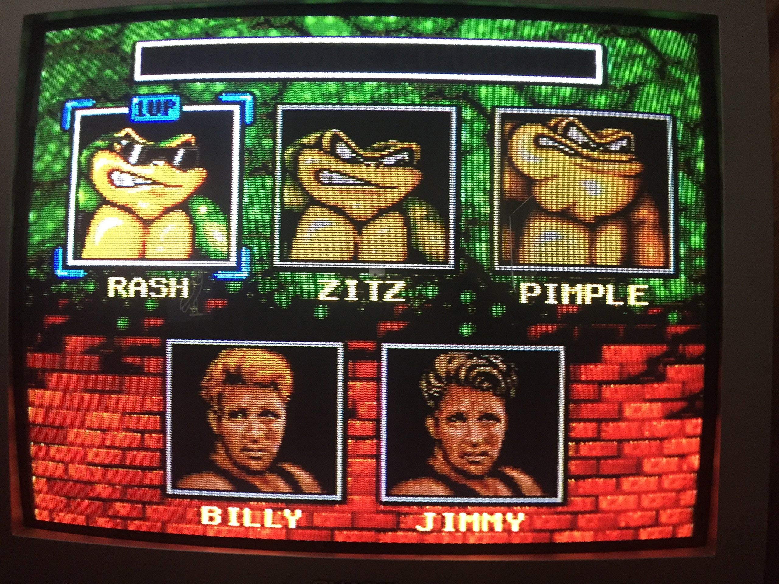 Battletoads/Double Dragon (Renewed)