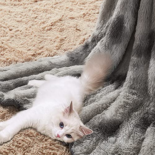 BEAUTEX Faux Fur Throw Blanket, Soft Sherpa Fluffy Blankets, Warm Thick Plush Flannel Blanket, Luxury Fuzzy Blankets for Room Decor, Shaggy Comfy Blanket for Couch Sofa Bed Grey, 50x 60