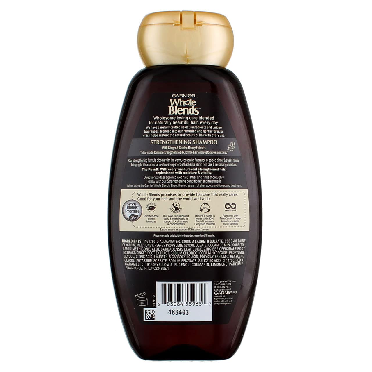 Garnier Whole Blends Ginger Shampoo 12.5oz