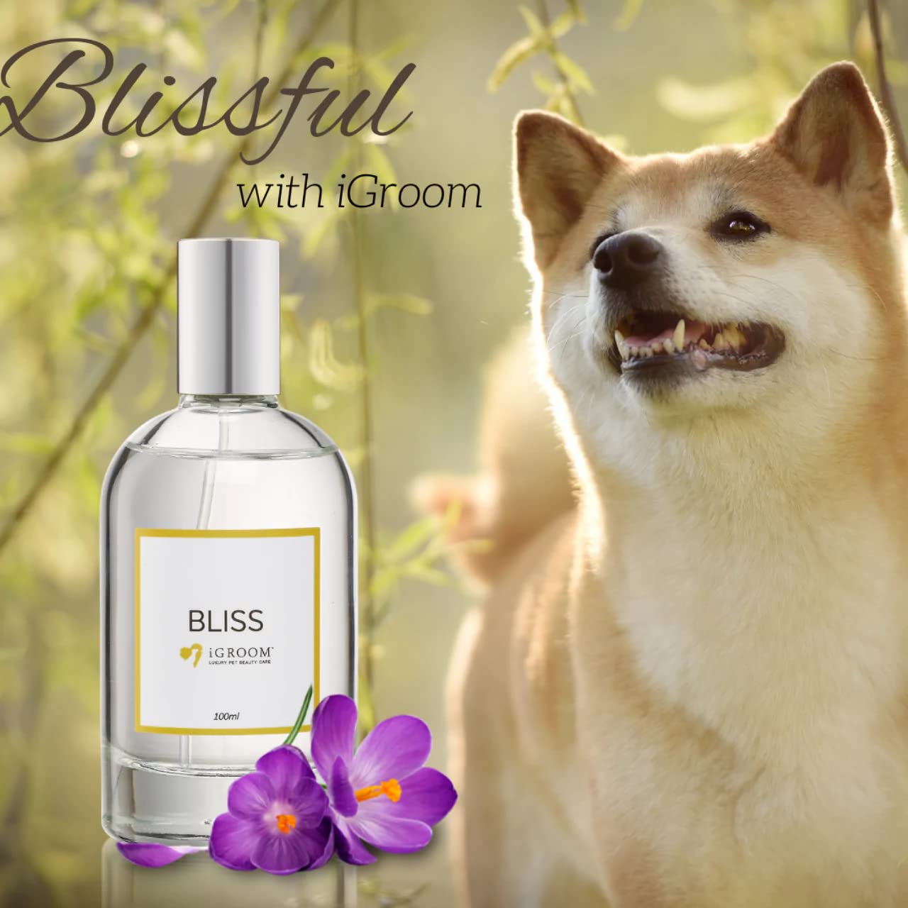iGroom Pet Perfume Bliss, Luxury Pet Beauty Care, Mild Sweet Scent, Long Lasting, Made in USA, 100 ml