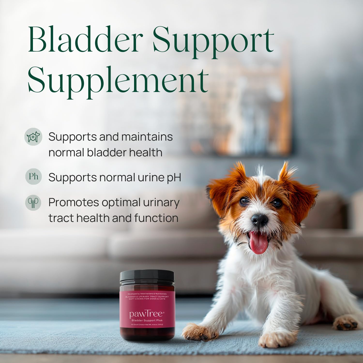 pawTree Bladder Support Plus for Dogs and Cats - Bladder & Urinary Tract Wellness Supplement - with D-Mannose, Cranberry, Glucosamine and Marshmallow Root to Support Bladder Health (Small/Medium)