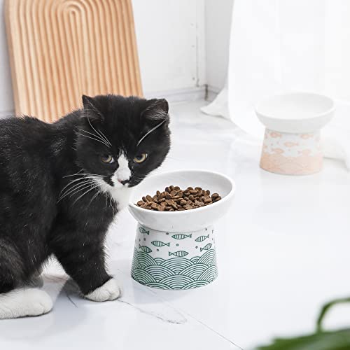 Ceramic Raised Cat Bowls, Elevated Tilted Cat Food and Water Bowl Set, Porcelain Stress Free Pet Feeder Dish for Cats and Small Dogs, Dishwasher and Microwave Safe, Set of 2
