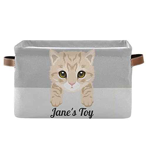 Custom Cat Toy Bin Box Collapsible Storage Cube with Handles Personalized Puppy Supplies