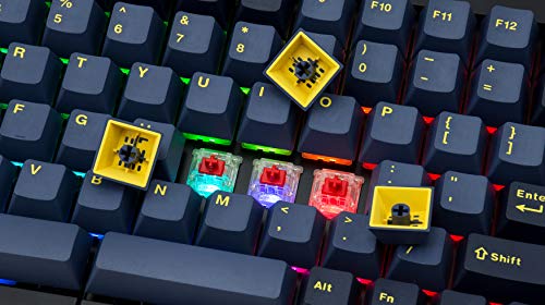 Mistel BAROCCO MD770 RGB Wired + Wireless Bluetooth TKL Split Mechanical Keyboard with Cherry MX Black Switch, Ergonomic Gaming Keyboard, Yellow Letter Glaze Blue PBT DoubleShot Keycaps, Macro Support