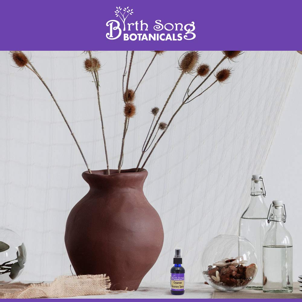 Birth Song Botanicals Umbilical Cord Care Powder, Herbal Support for Postpartum, Baby Shower Gift, Pregnancy, All Natural, Plant Based, Woman, Birth, 0.2oz