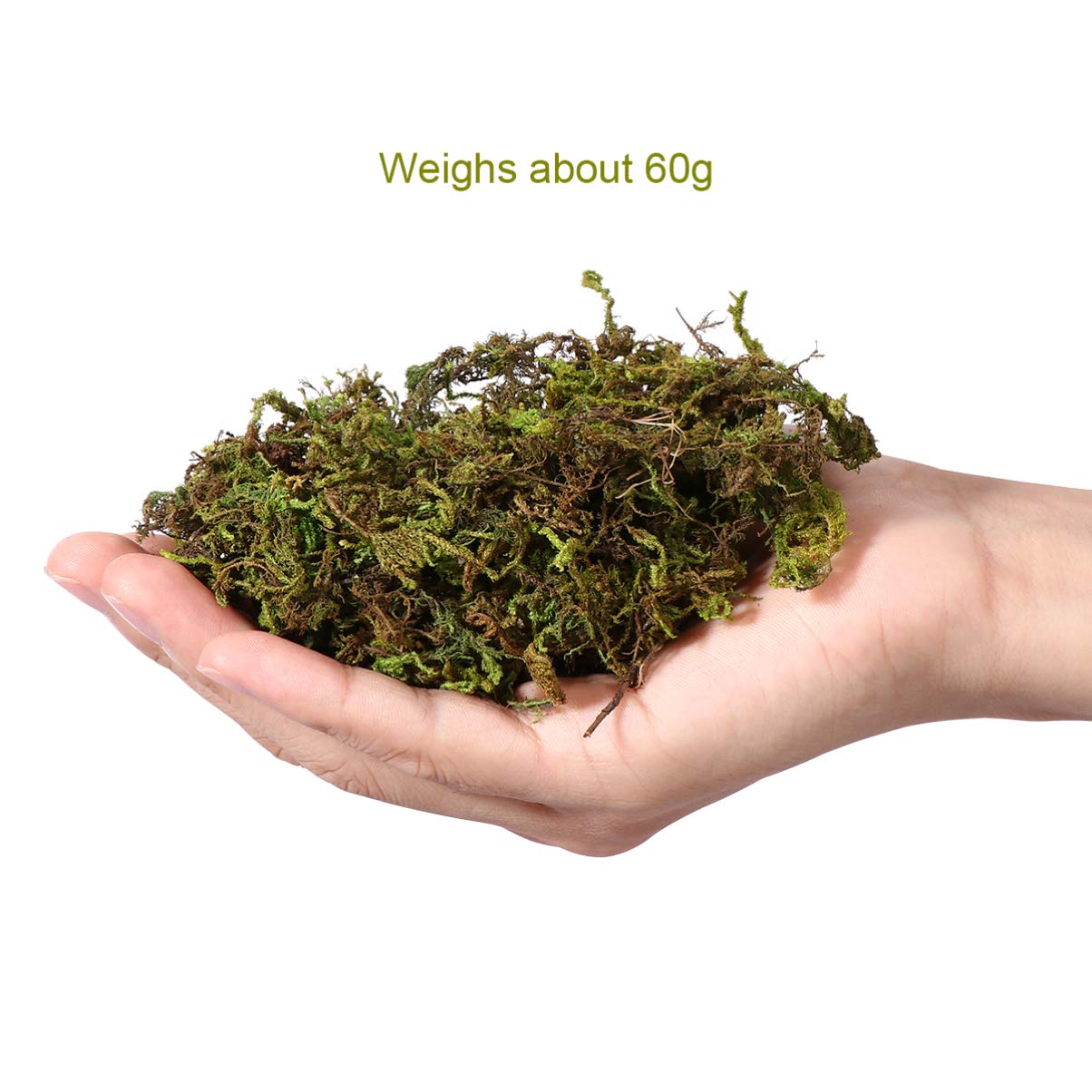 BESPORTBLE 1 Packs Artificial Moss for Plants Flowers Lichen Simulation Fake Green Plants for Home Garden Patio Decoration ( About 60g )
