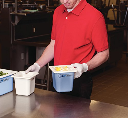 Carlisle CM1105C1402 Coldmaster CoolCheck 6" Deep Sixth-Size High Capacity Insulated Cold Food Pan, 1.7 Quart, Color Changing, White/Blue