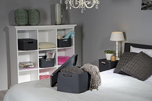 Curver Style 205852 Storage Box Rattan-Look Size L Second Generation Polypropylene