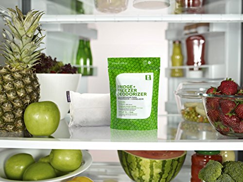 Ever Bamboo Fridge & Freezer Deodorizer w/Natural Bamboo Charcoal (2 Pack). are Your Leftovers Becoming LEFTODORS?