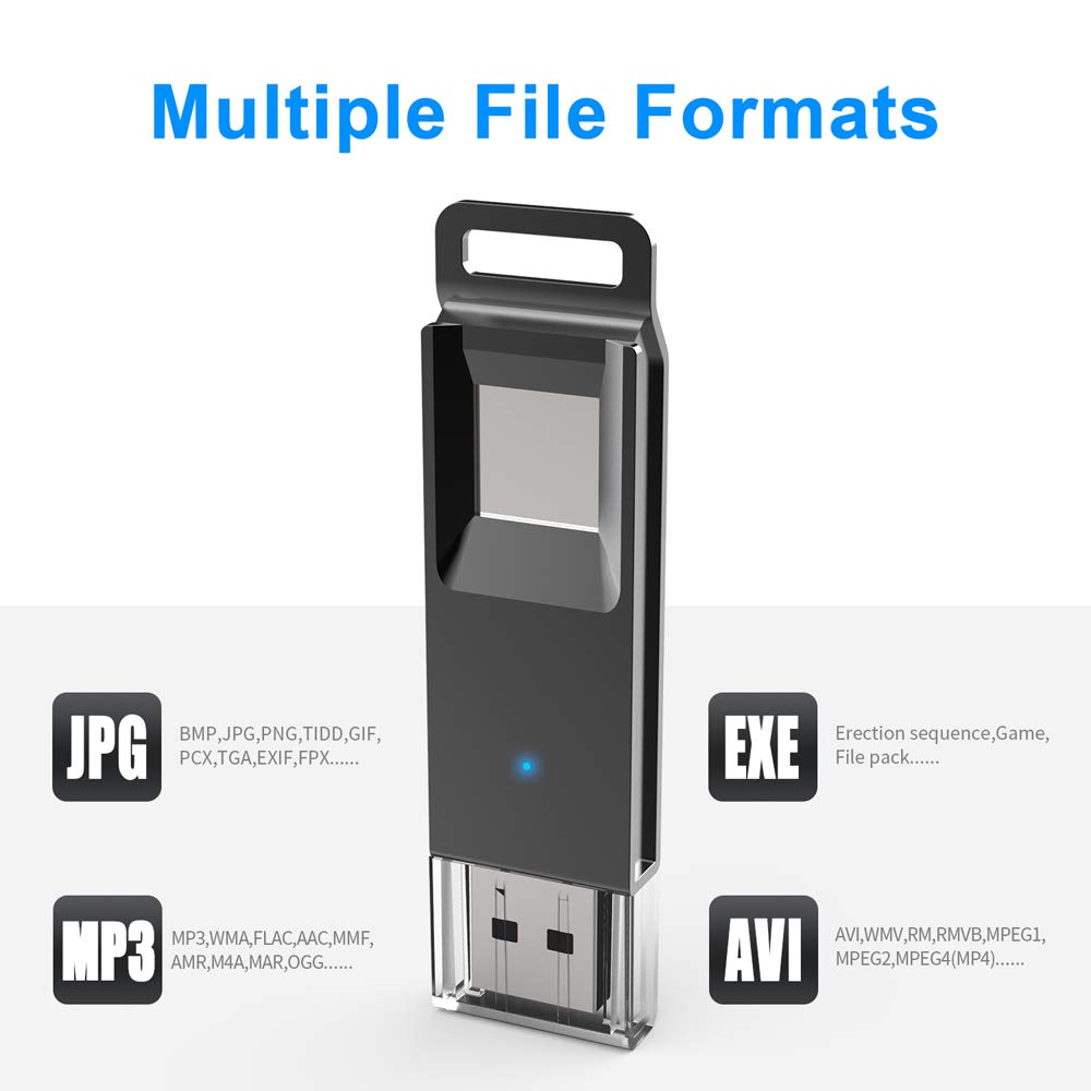 32GB Flash Drive, Aiibe Fingerprint USB 3.0 Flash Drive 32 GB High Speed Recognition Encrypted USB Drive Security Protection Thumb Drive USB Stick (32G, Black)