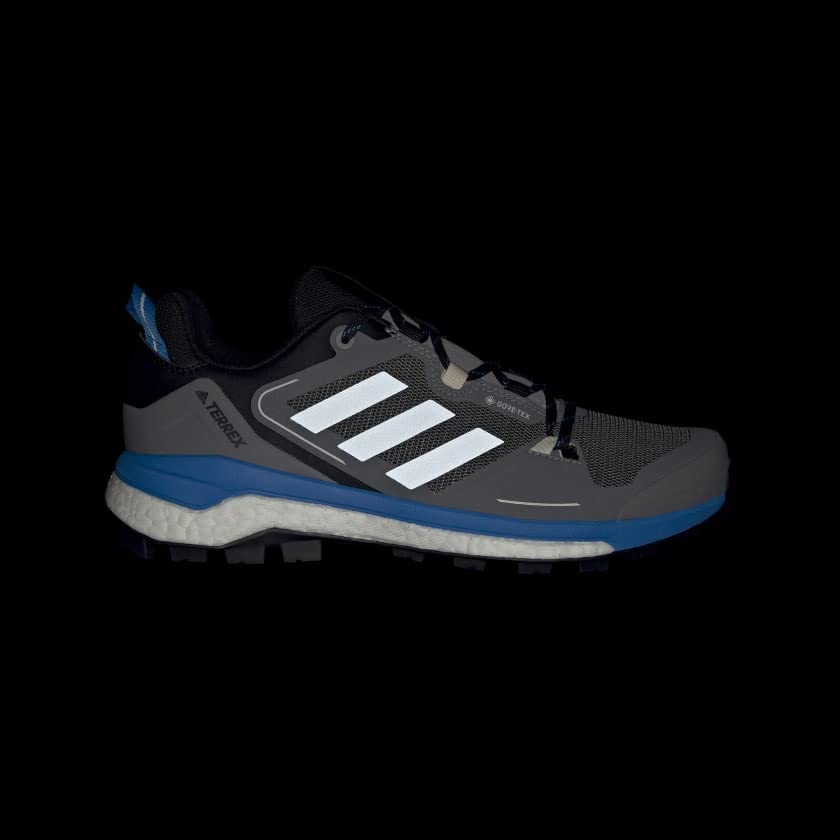 adidas Terrex Skychaser Gore-TEX 2.0 Hiking Shoes Men's, Grey, Size 7