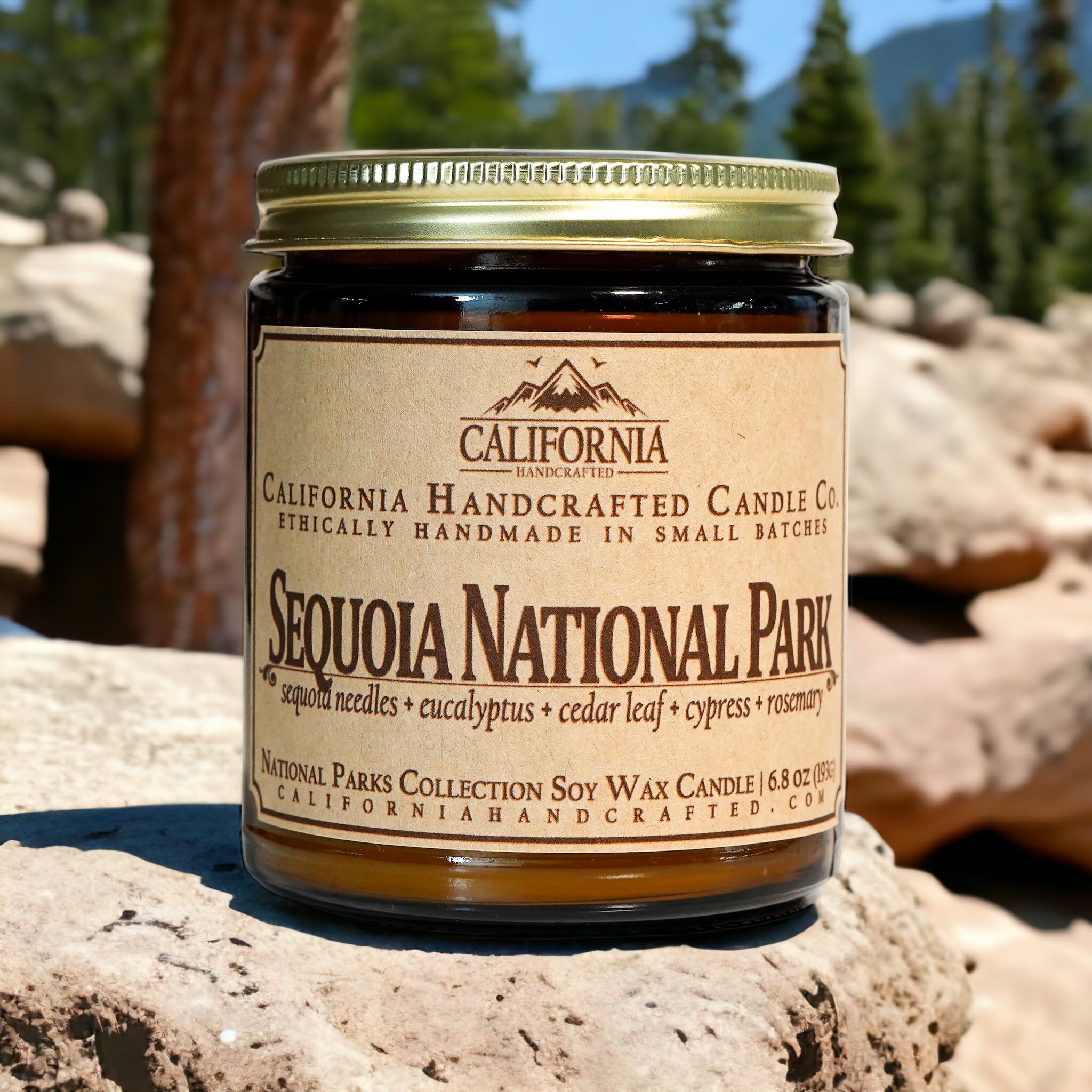California Handcrafted Sequoia National Park Amber Jar Soy Wax Candle - Sequoia Needles, Eucalyptus, Cedar Leaf, Cypress, Rosemary, 9 oz, America's National Parks Collection