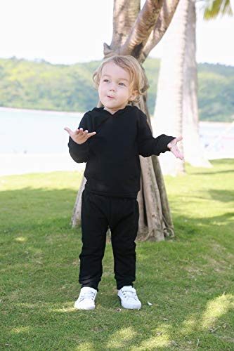Hipealy Toddler Infant Baby Boy Clothes Hoodie Sweatshirt Pants Boys Gift Solid Color Fall Winter Outfits Set 0-6 Months