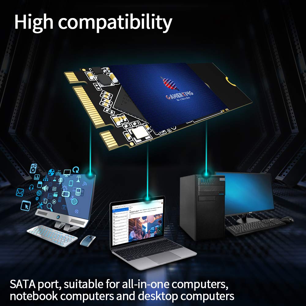 GAMERKING 256GB M.2 2260 SATA III 6Gb/s SSD Internal High Performance Solid State Drive for Desktop Laptop