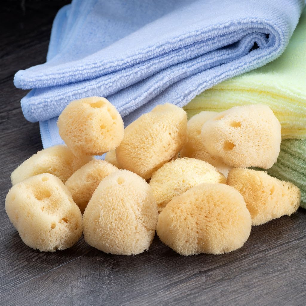 Neptune Natural Sea Soft Silk Sponge - for Cosmetic Use, Art, Facial Cleansing 12pk, 1-1.5 inches