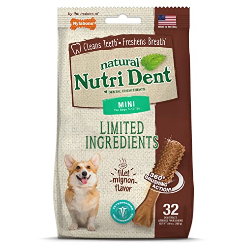 Nylabone Nutri Dent Filet Mignon Flavored Dog Dental Chews 32 Mini 1.75" Treats for Dogs 5-10 lbs.