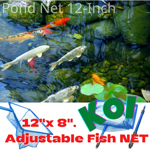 CORISRX BEST OF YOUR LIFESTYLE 12"x 8" Koi Adjustable Fish NET Handle 30~54cm Aluminum Fishing Pond Tank Blue