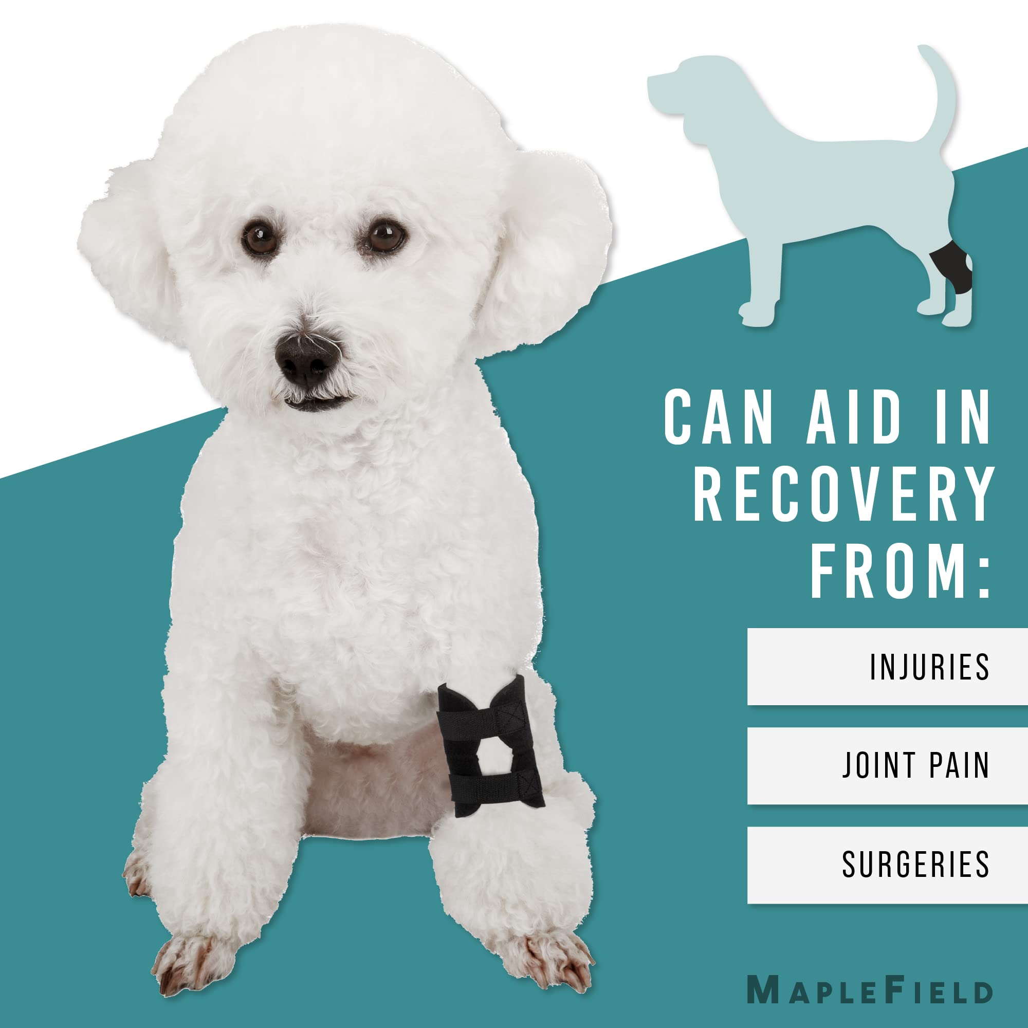 Maplefield - Dog Leg Brace - Rear Hock Hind Leg Support for Canines - Helps Promote Healing and Rehabilitation, Prevents Injuries, and Helps with Arthritis (XS)
