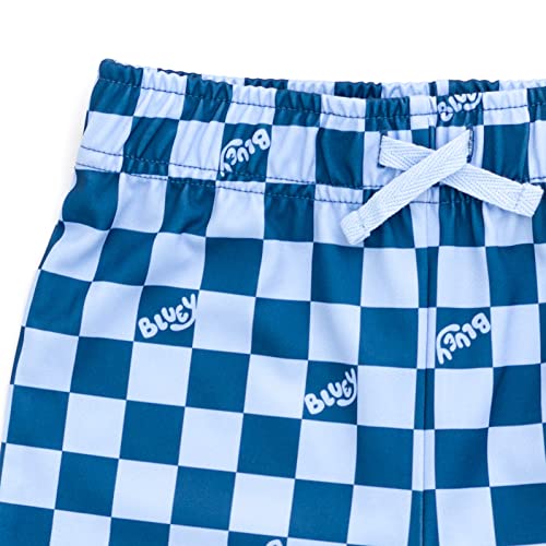 Bluey Bingo Toddler Boys T-Shirt and Shorts Outfit Set 3T