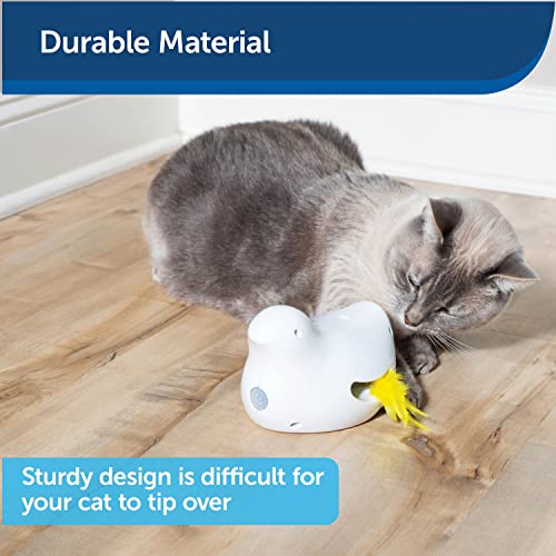 PetSafe Peek-A-Bird Electronic Cat Toy, Automatic Interactive Bird and Mouse Hunt, Indoor Cat Toy, Motion Activated Fun for Kittens