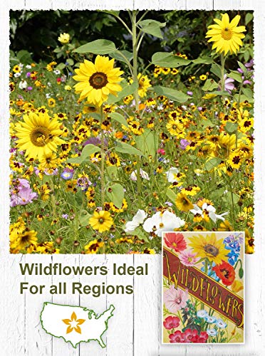 American Meadows Wildflower Seed Packets Wildflower Party Favors for All Occasions (Pack of 20) - Wildflower Seed Mix, Plant Year-Round, Great Gift for Hostesses, Showers, Weddings, Thank You