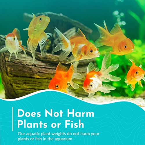 CANTON AQUATICS Anchor Lead Plant Holder Flexible Weight - Easy to Manipulate - Used for Submerge Plants in Aquariums or Ponds - 10 Piece Lead Strips - Grey