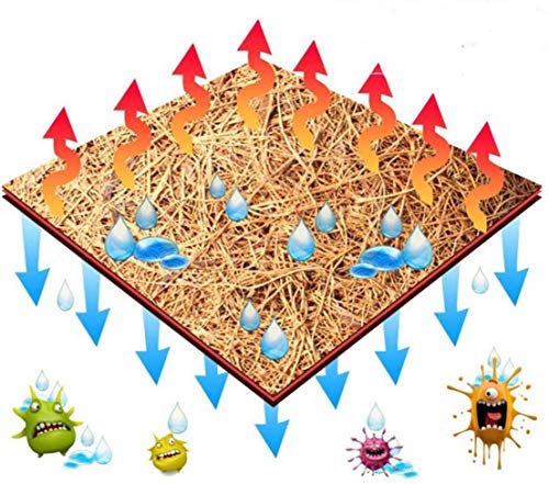 Hamiledyi Reptile Carpet Natural Coconut Fiber Tortoise Carpet Mat for Pet Terrarium Liner Reptile Supplies for Lizard Snake Chamelon Turtle Bedding Bunny Rabbit Mat (2*Sheets)