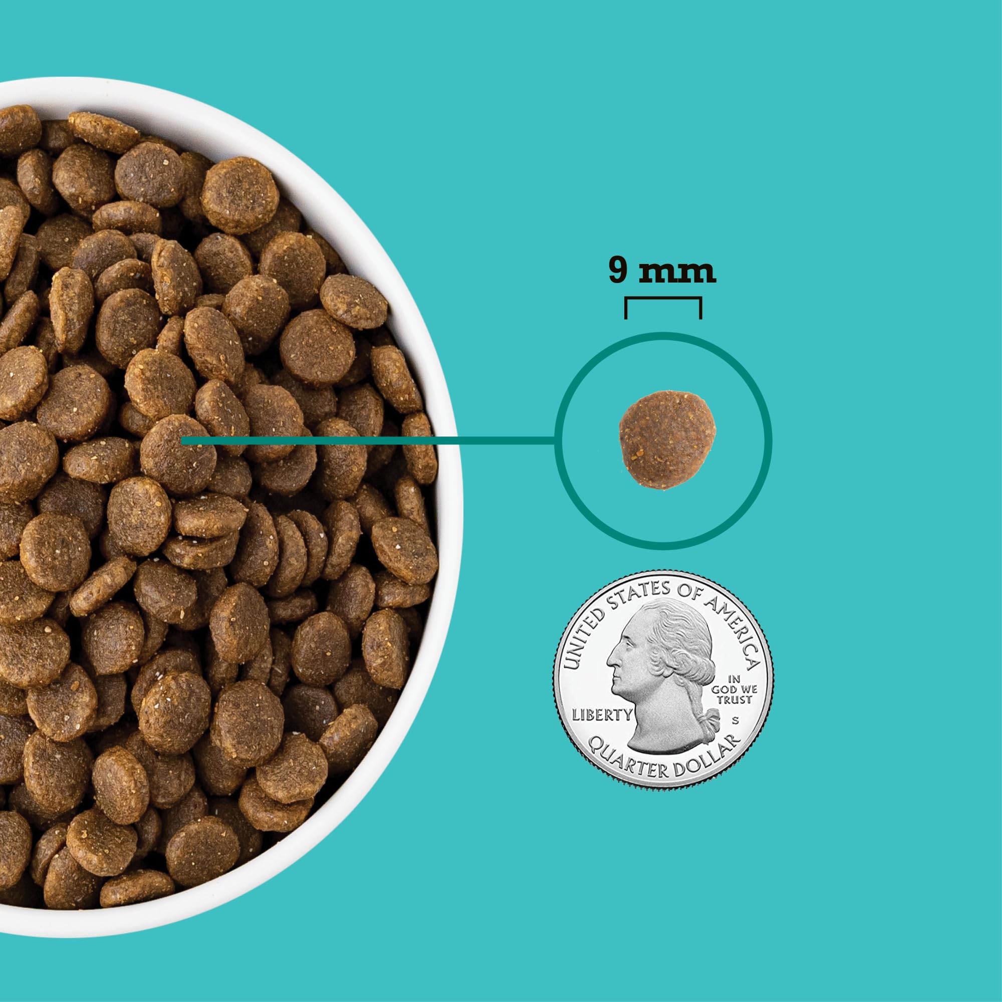 ACANA™ Wholesome Grains Dry Dog Food Puppy Sea & Farm Recipe, 4lb