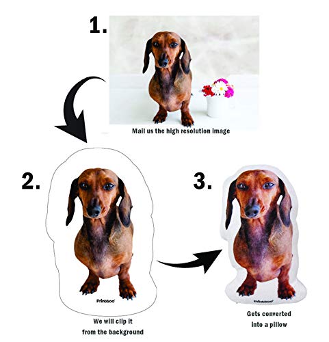 Printtoo Custom Photo Pillow, Unique Birthday Gift Decor, Pet Memorial Pillow Custom, Personalized Shaped Pillow, Pet Portrait Dog Pillows 3D Printing Pillow-14X14