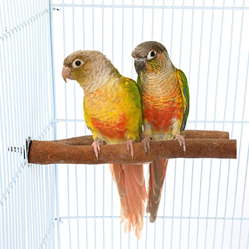 Balacoo Bird Stand Perch Bird Training Stand: Anti-Slip Design: The Surface is Rough, The Bird can Stand Comfortably and Safely, and not Easy to Slip. Paw Grinding Perch