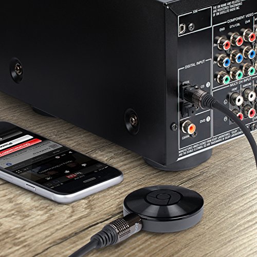 FosPower (3ft) 24K Gold Plated Toslink to Mini Toslink Digital Optical S/PDIF Audio Cable with Metal Connectors & Strain-Relief PVC Jacket FosPower (3ft) 24K Gold Plated Toslink to Mini Toslink Digital Optical S/PDIF Audio Cable with Metal Connectors & St