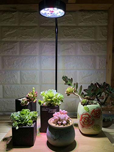 Hiro Aquatics Full Spectrum LED Light with Bamboo Board, Fits Aquarium Nano Tank, Betta Fish Tank, Potted Plants, Succulents, Miniature Landscape – 9W