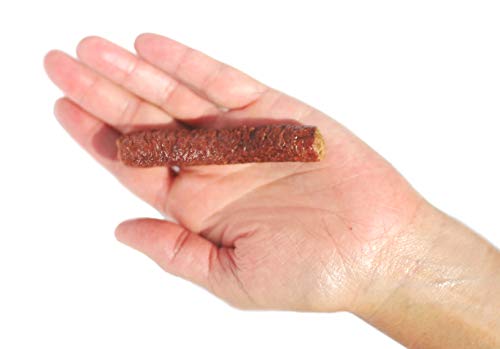 PLATO Mini Thinkers Sticks - Natural Dog Treats - Real Meat - Air Dried - Made in the USA, Chicken Flavor, 6 ounces