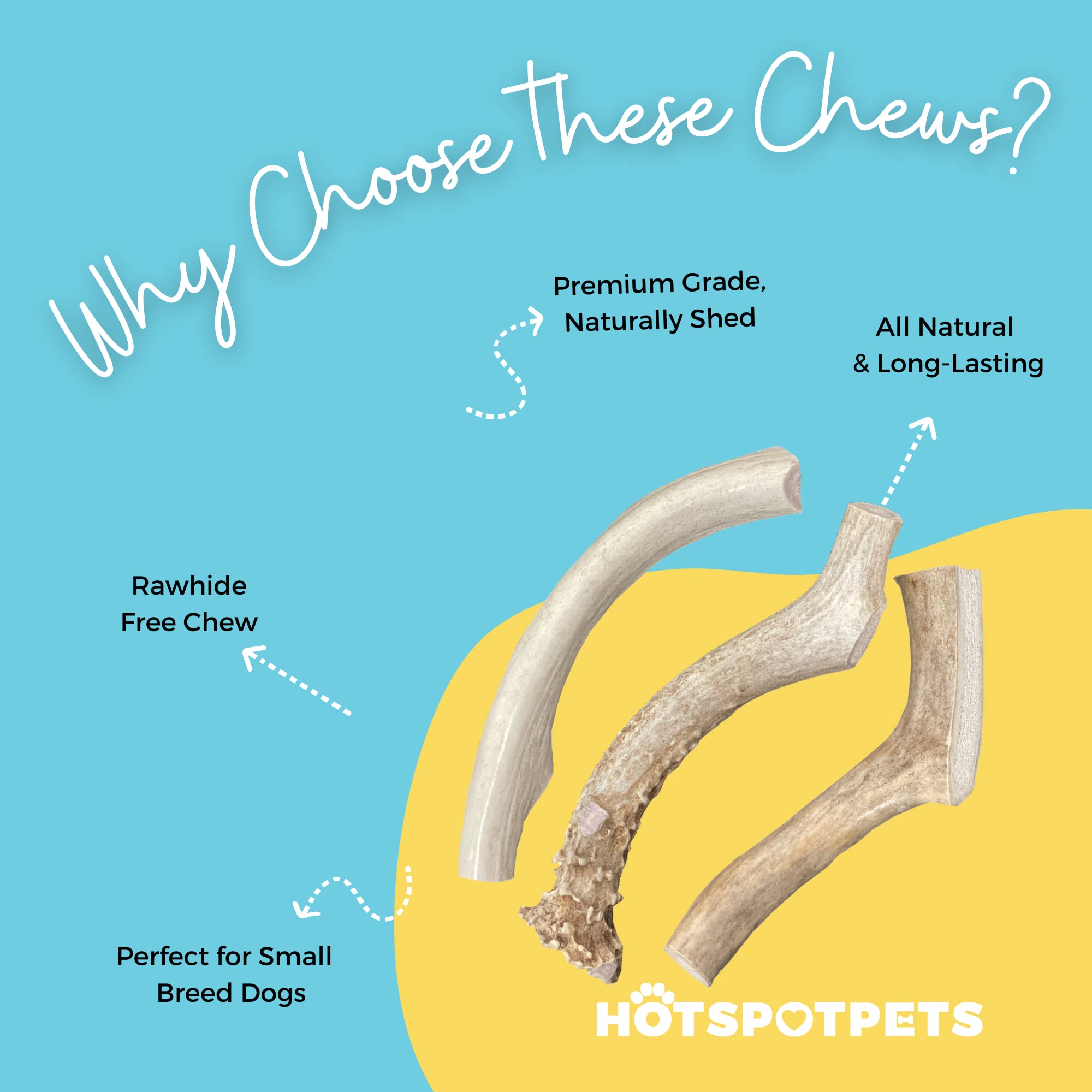 hotspot pets Small Premium Deer Antler for Dogs (3 Pack) - 4-8 Inch Long Lasting Antler Dog Chews Naturally Shed Deer Antlers Bone for Small & Medium Breed Aggressive Chewers - Sourced in USA