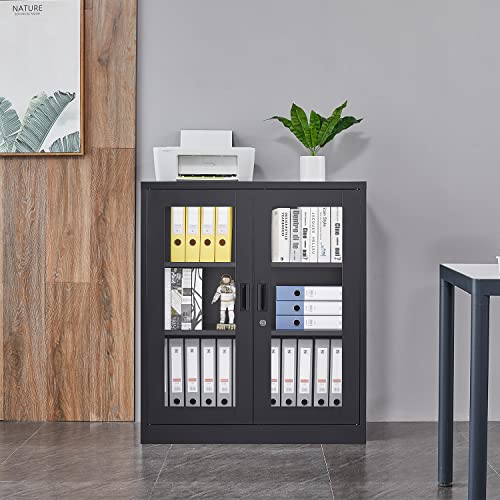 Anxxsu Metal Storage Cabinet with Glass Door, Locking Display Storage Cabinet with 2 Glass Doors and 2 Adjustable Shelves for Home, Office, Bedroom Storage (Black)