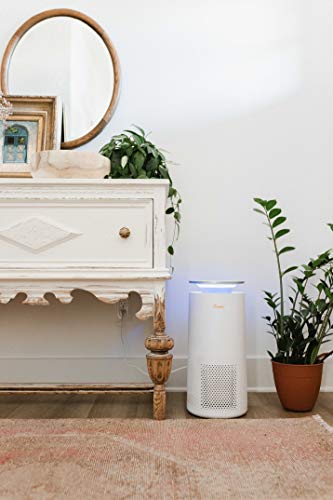 Crane Air Purifier with True HEPA Filter, Germicidal UV Light, 500 Sq Feet Coverage, Timer Function, Sleep Mode, Built in Air Quality Monititor, EE-5069,Blue and White,10.25 Pound