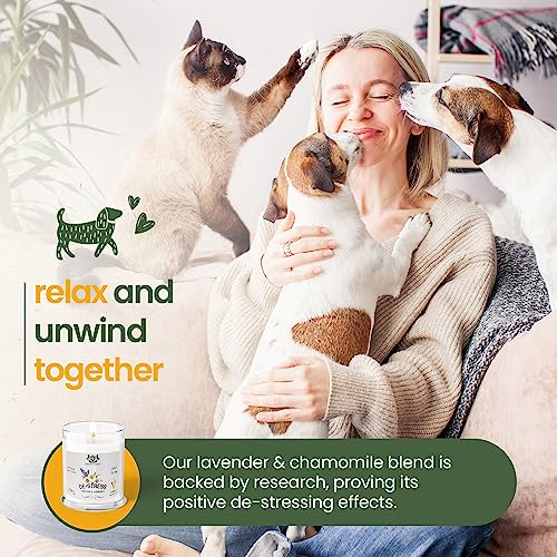 Gerrard Larriett - Deodorizing Soy Candles for Pets, Scented Candles for Removing Pet/Household Odors, Lasts up to 40 Hours, White Candles for Home Scented with De-Stress Lavender & Chamomile Fragrance, 10 oz