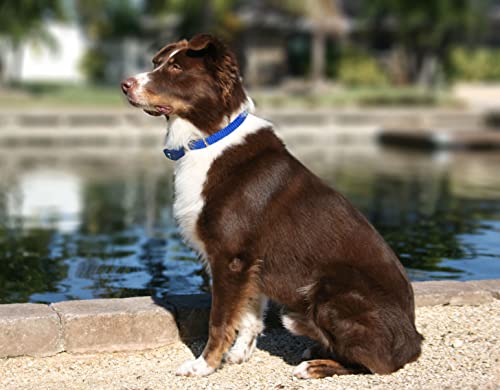 Heavy Duty Nylon Replacement Collar Strap - Compatible with Nearly All Brands and Models of Underground Electric Dog Fences and Training Collars Blue