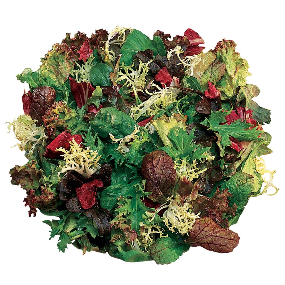 Burpee Classic Mix (Organic) Mesclun Seeds 1500 seeds