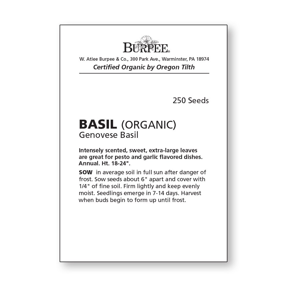 Burpee Genovese Basil Seeds 250 seeds