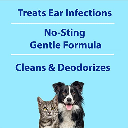 Curaseb Dog Ear Infection Treatment Solution β Soothes Itchy & Inflamed Ears β Cleans Debris and Buildup - 12oz