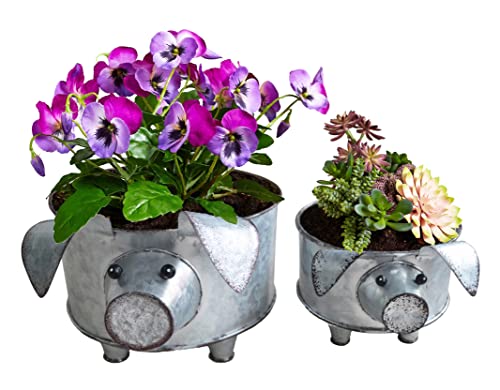 ShabbyDecor Galvanized Metal Pig Bowl Farmhouse Pig Succulent Planter Set of 2