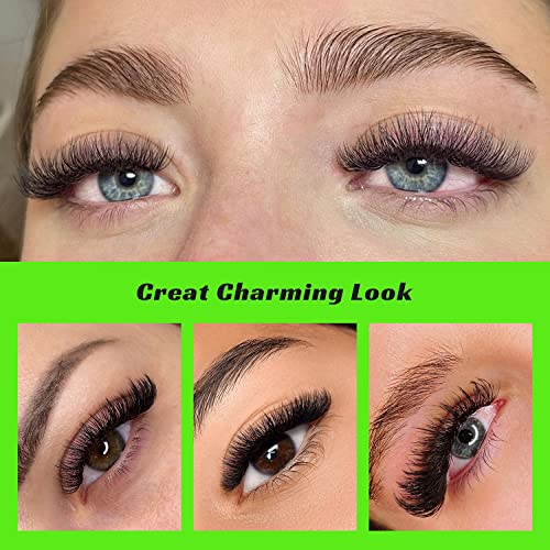 500 Premade Fans Eyelash Extensions 8-15mm Mixed Length Promade Lash Fans C/D Curl Premade Fans Pointed Thin Base Handmade Volume Premade Lash Extensions Fans(10D,0.07-D-8-15MM)