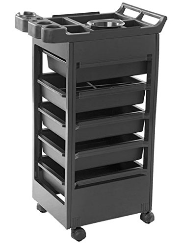 Buy-Rite Professional Salon Trolley Cart Rolling Hair and Beauty Spa Esthetician Utility Cart with 5 Storage Drawers, Mixing Bowl and Accessories, MEI-3010