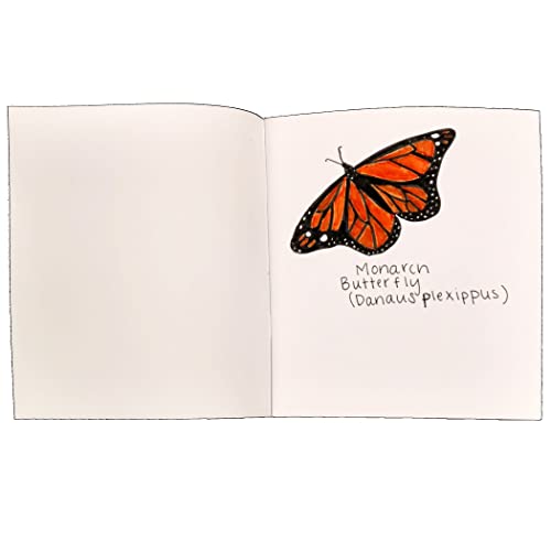 Hayes Soft Cover Blank Book, 7" x 8.5" Portrait, 14 Sheets Per Book, Pack of 12